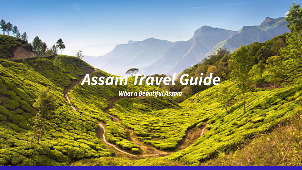 Assam Travel Guide - Things to Carry , Places to visit , How to Reached